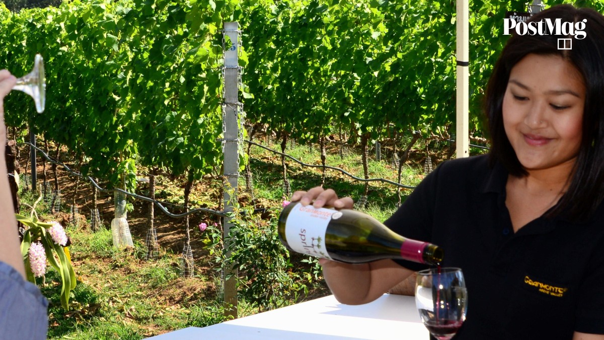 Everyone loves Thai food, but what about the wines? Central Thailand winery is worth exploring ...