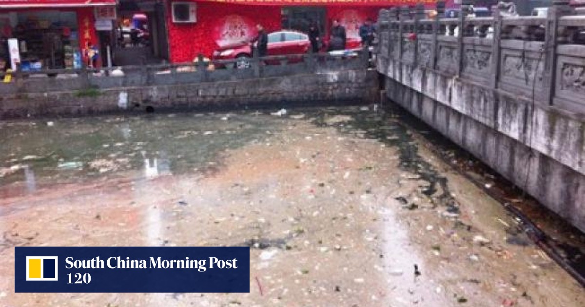 New offer made to another official to swim in polluted river | South ...