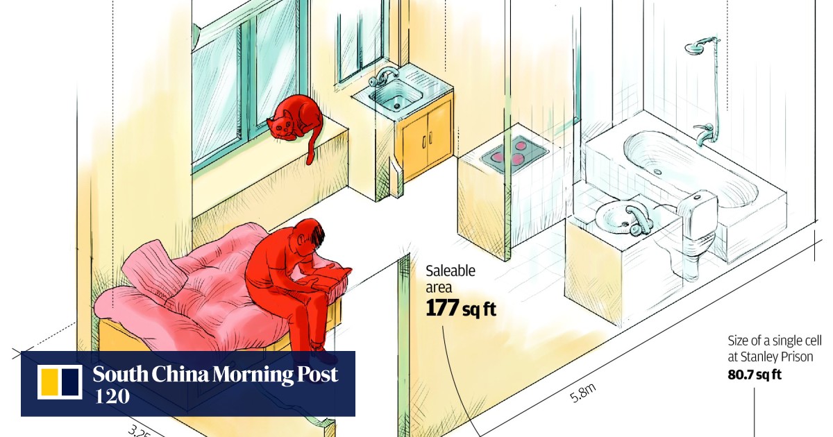 Mont Vert studio flat in Tai Po sets record for cheapest new home ...