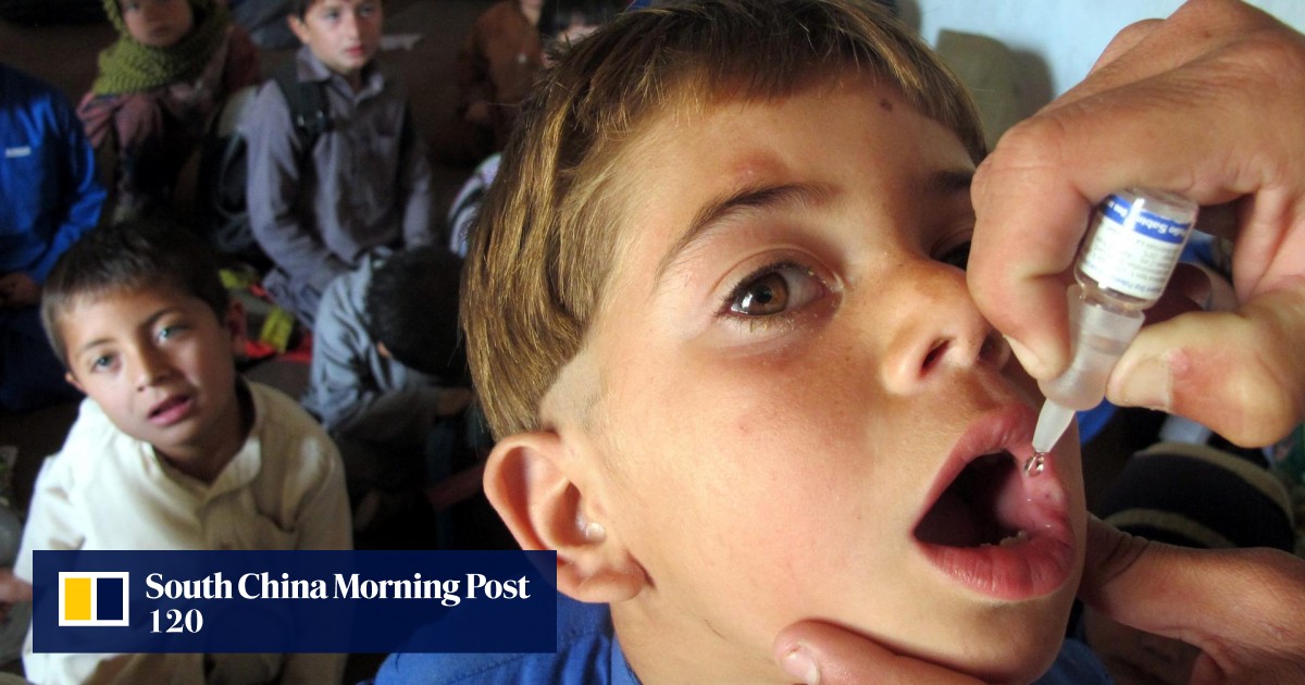 The martyrs of Pakistan’s fight against the crippling disease of polio ...