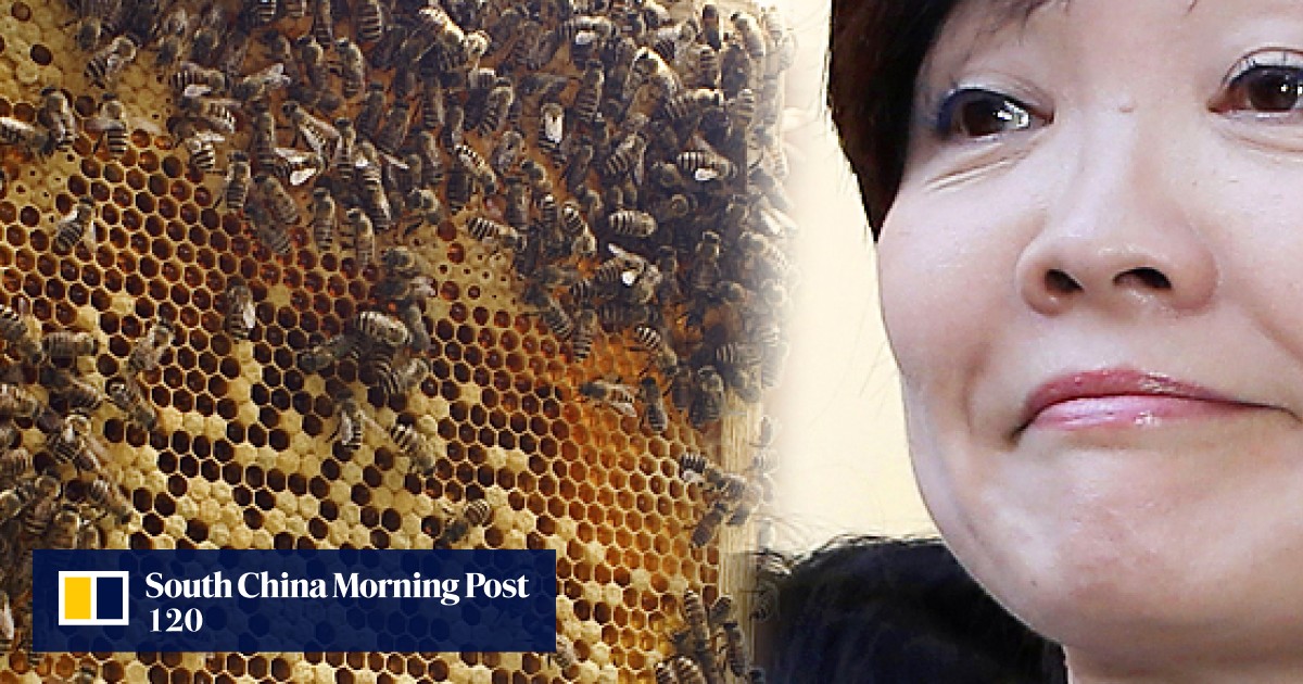Japanese first lady plans to open beehive in Tokyo and harvest ‘Abe ...