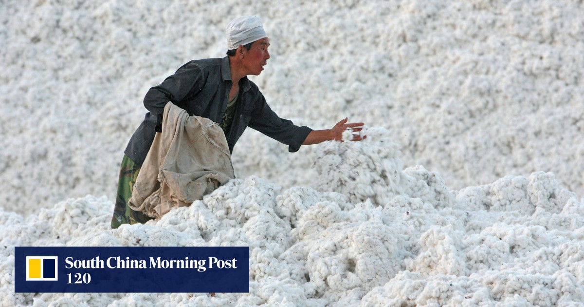 EU to punish rights abuses in supply chains, with forced labour ban to ...