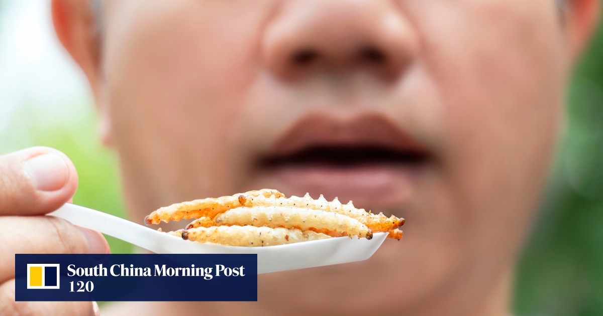 Can of worms: Polish politicians give each other a mouthful over edible ...