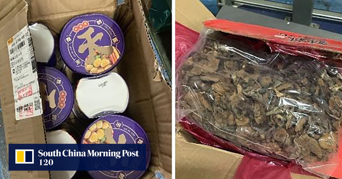 Singapore fines Chinese woman US$9,000 for smuggling nearly 175kg of ...