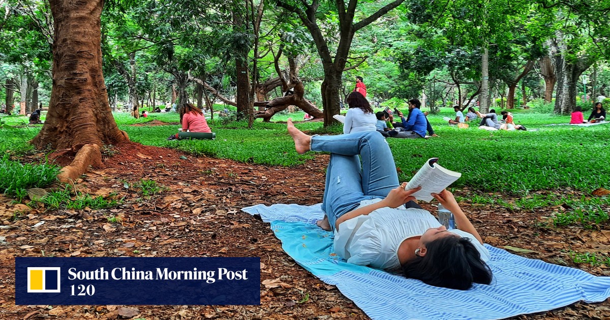 Reading quietly in a park has gone viral, thanks to Indian Instagram ...