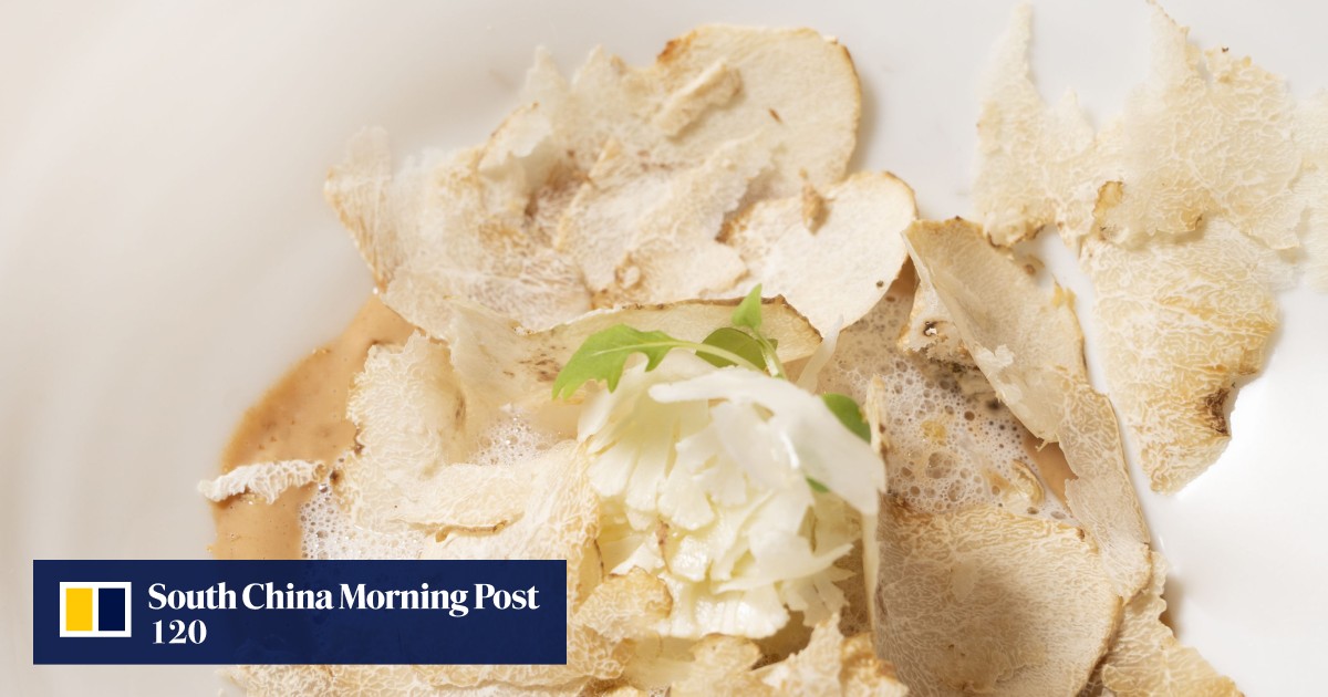 Why Hong Kong loves white truffle so much – and why they’re so ...