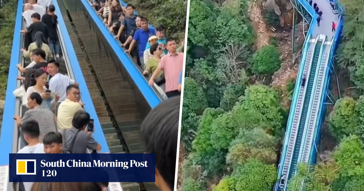‘Painless mountain climbing’: critics say tourist escalators at China ...