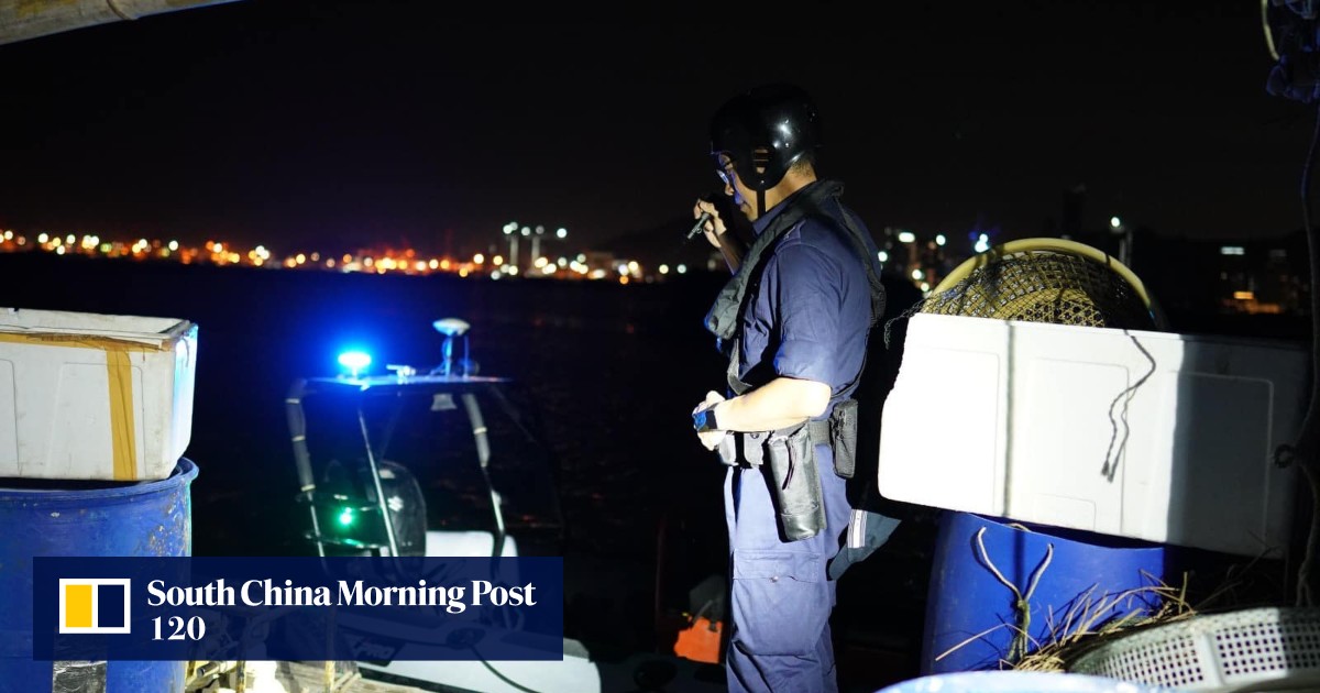 Hong Kong, mainland Chinese authorities arrest 120 in 2-pronged ...