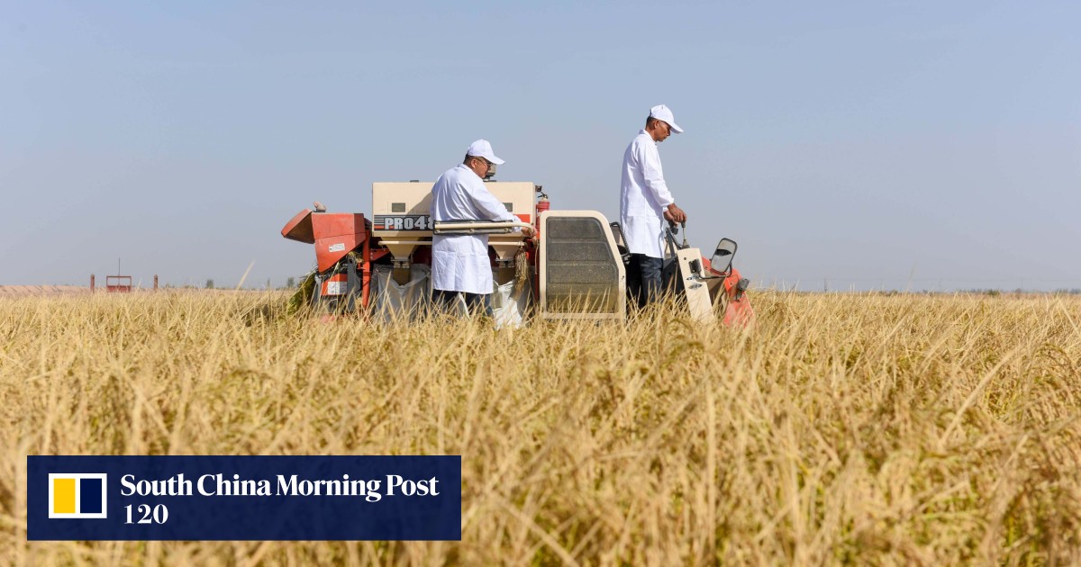 CropWatch: more than 160 countries join China’s tech war against the ...