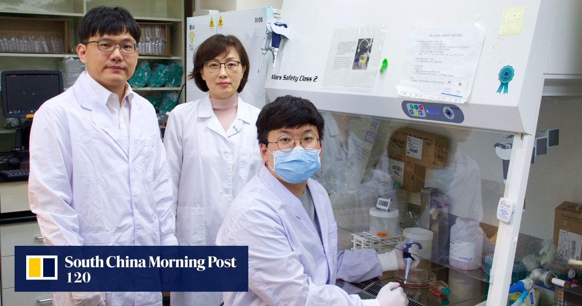 South Korean scientists map coronavirus genome, paving way for vaccine ...