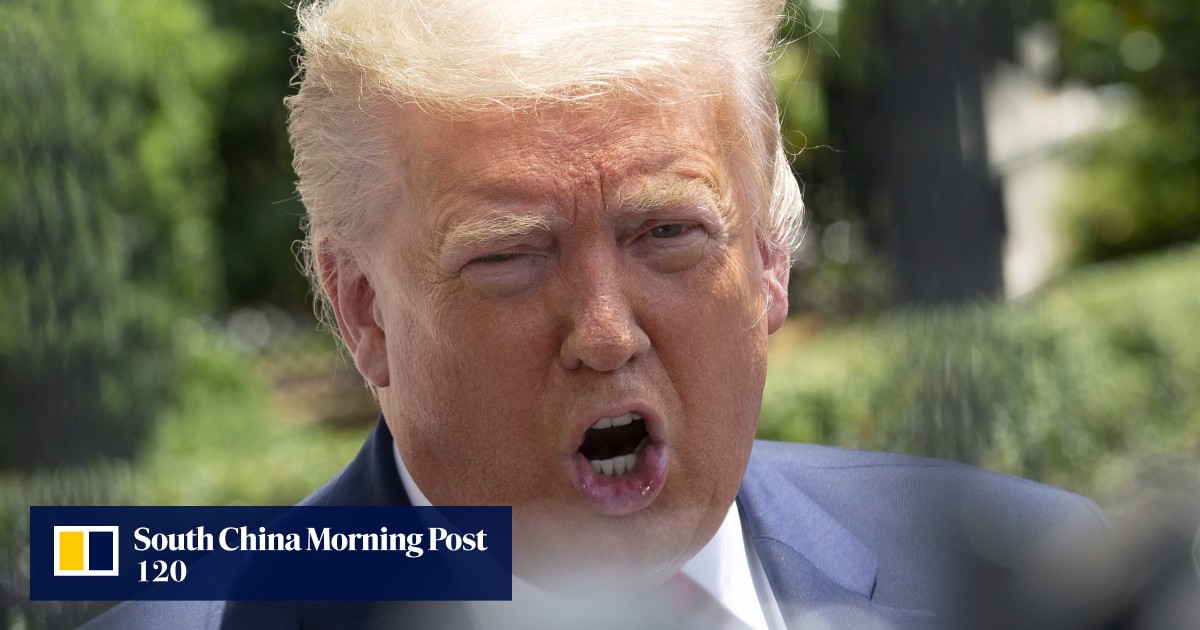 Trump says White House protesters would have faced ‘vicious dogs’ if ...