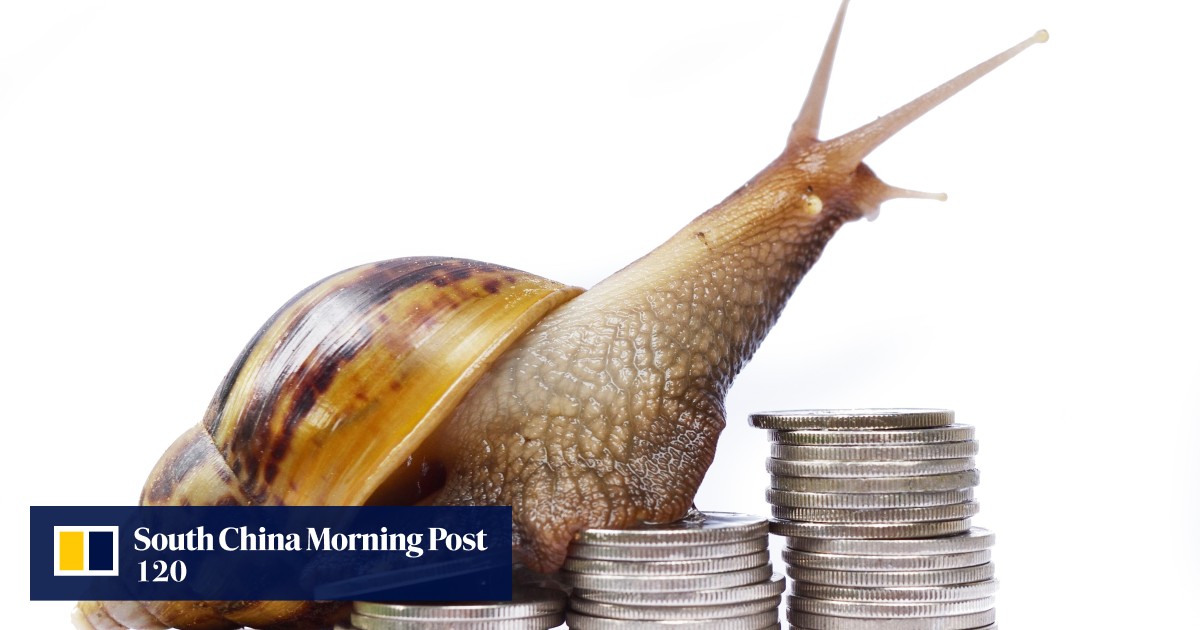 Snail Awards bring slow progress in China’s fight against bureaucracy ...