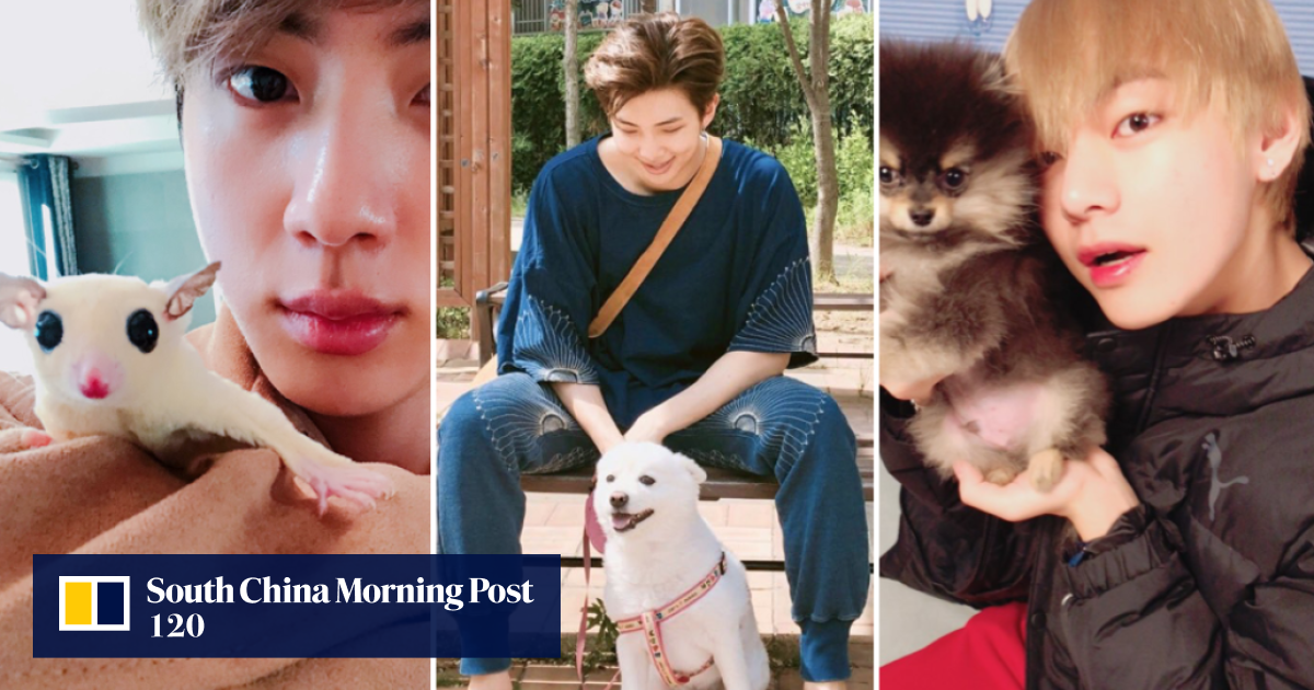 BTS members love their pets and post cute dog photos to Instagram just ...