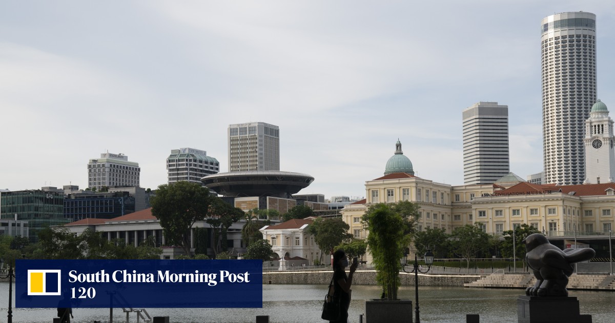 Letter: Singapore court verdict on Lee Suet Fern relied on carefully ...