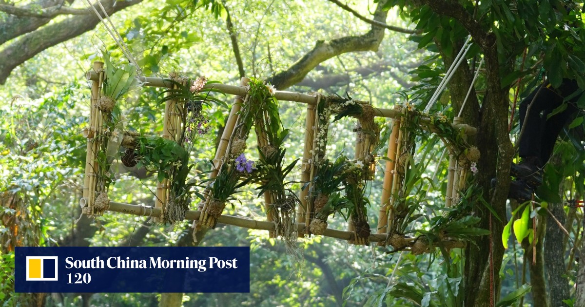 Extinction message in artist Zheng Bo’s floral exhibition – ‘We need to ...