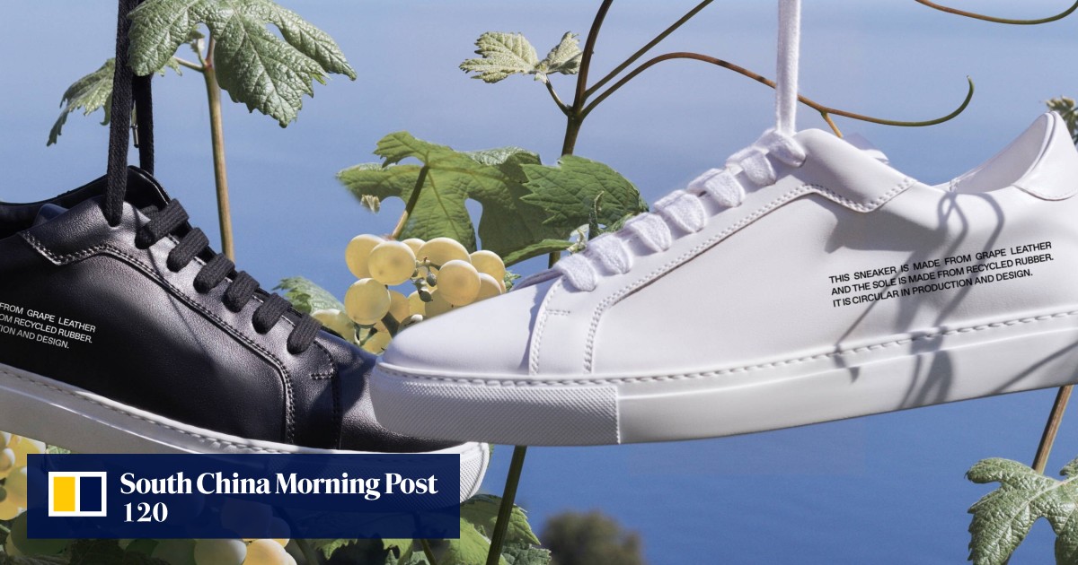Shoes made from grapes, bags made from mushrooms: vegan leather has ...