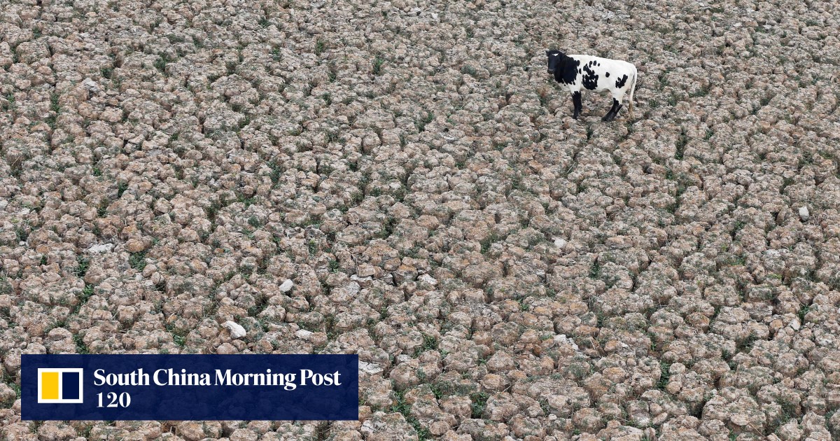 Record-breaking drought in Chile offers bountiful proof of climate ...