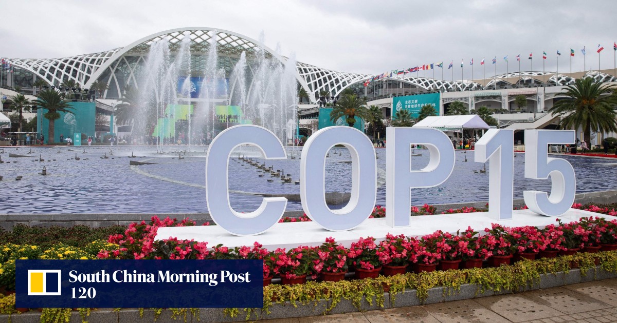 COP15: vice-premier vows more ambitious biodiversity plans for China ...