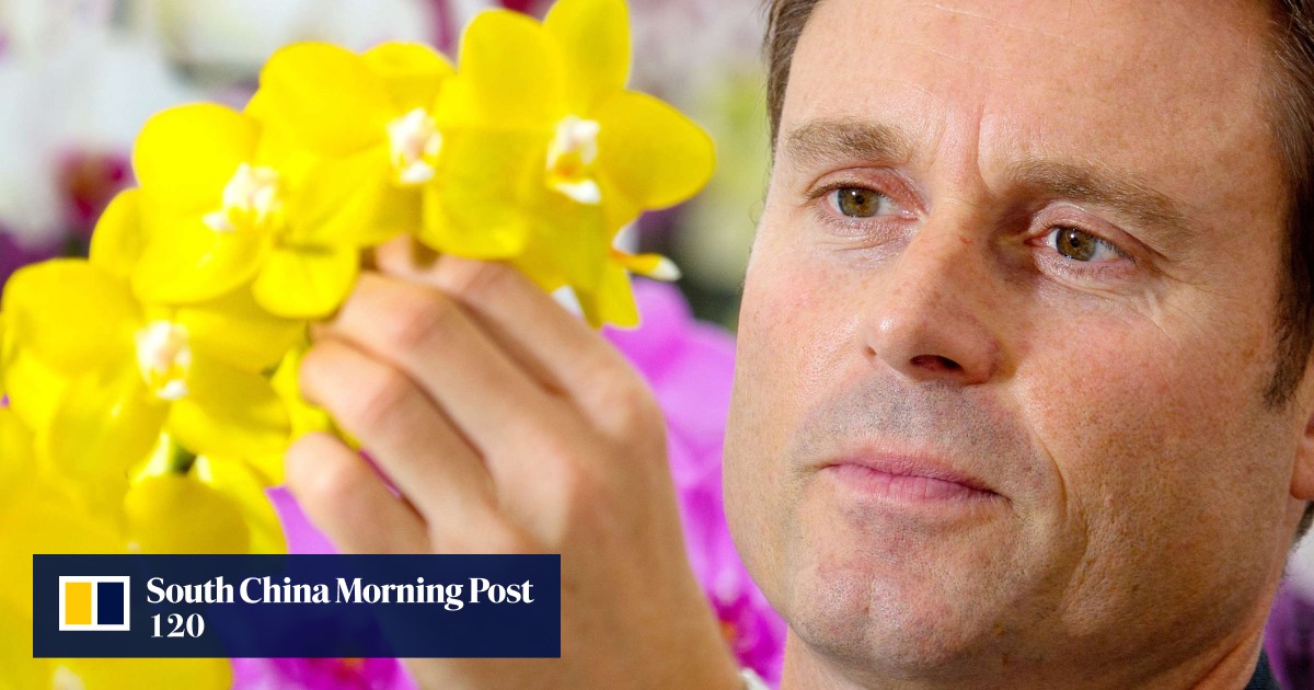 Anthura breeds long-lasting varieties that thrive under simple ...