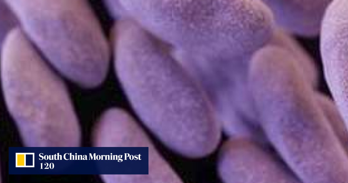 Superbug infections found in Chinese hospitals, medical journal study ...