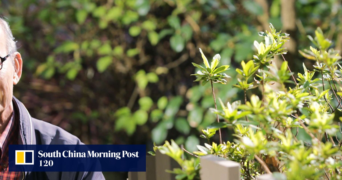 Former Hong Kong triad member reflects on his life from gangster to ...