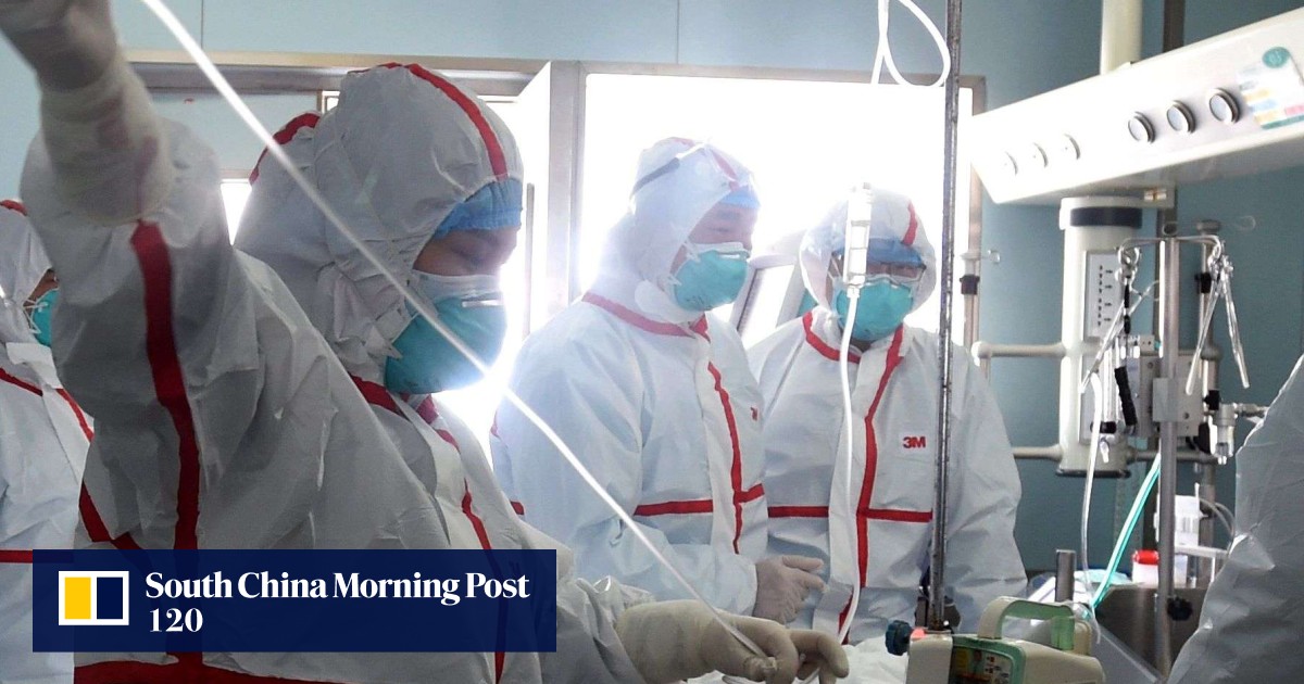 Bird flu affecting half of China: ‘controllable’ but may spread further ...