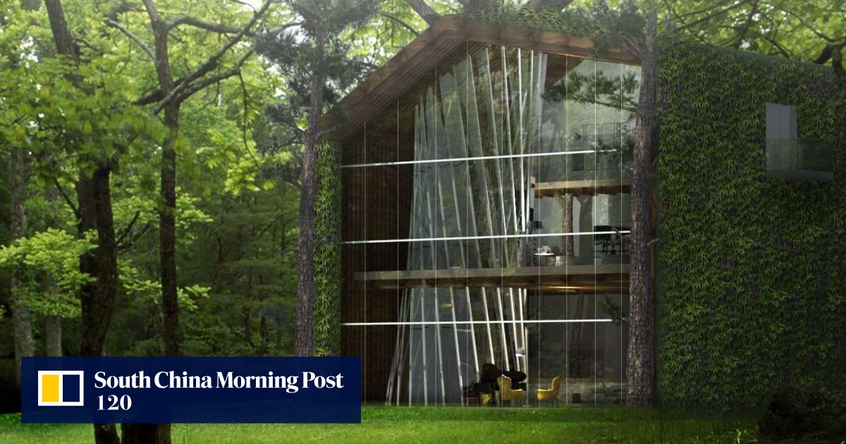 This HK$19 million eco-friendly treehouse collects water and regulates ...