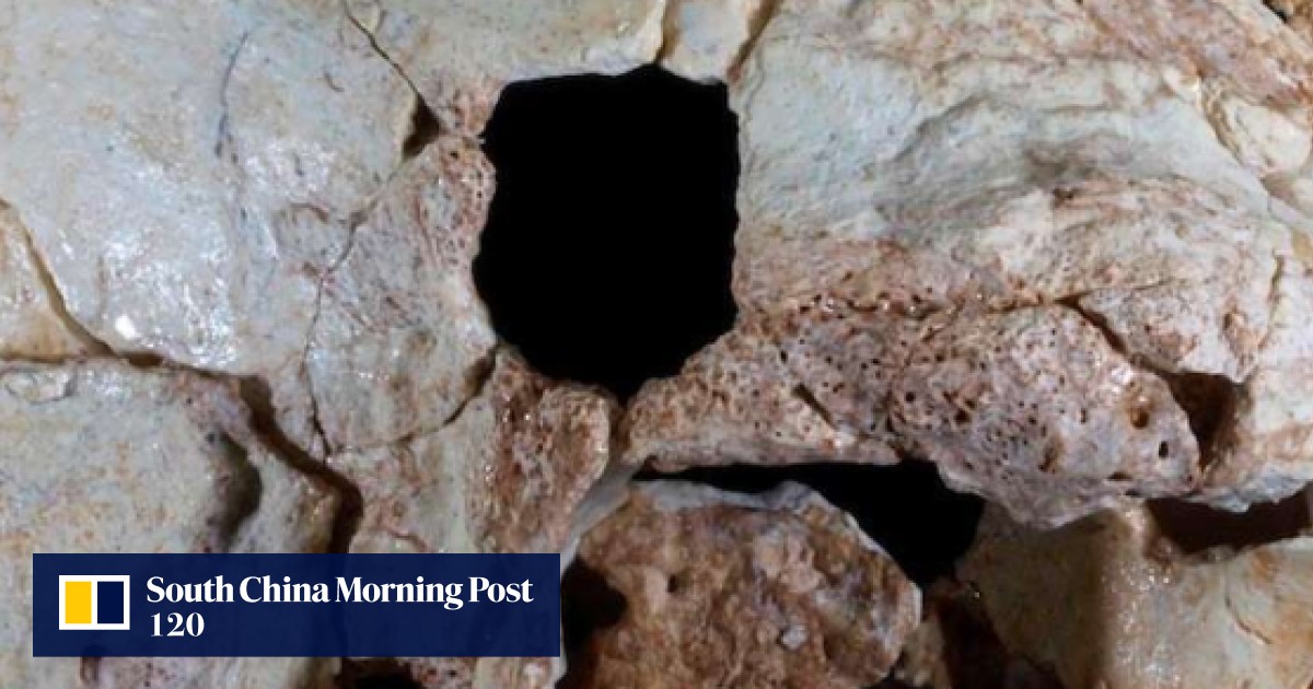 400,000 year-old skull offers clues to the origin of the Neanderthals ...