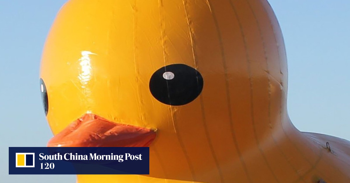 A giant yellow duck named Daphne has gone missing off Australia | South ...