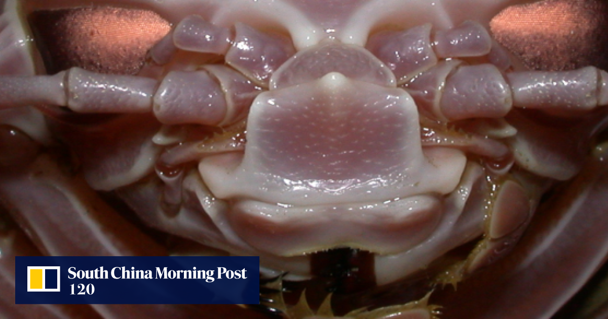 Scientists from Singapore and Indonesia set sail to explore marine life ...