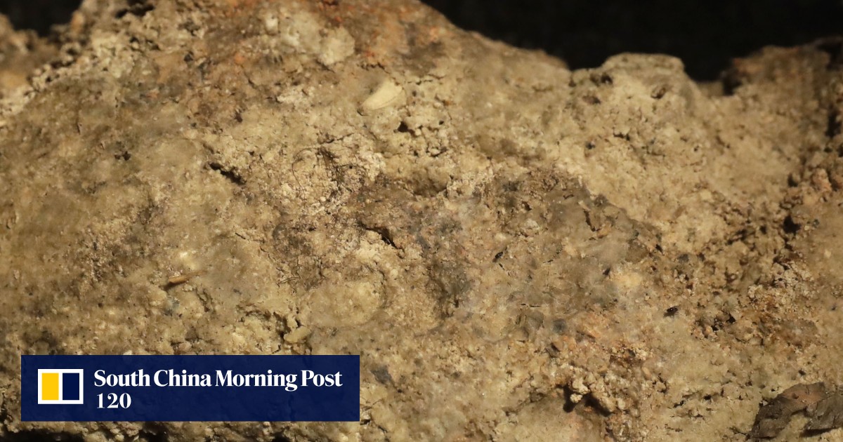 Watch: Museum of London launches FatCam, a disgusting live-stream of ...