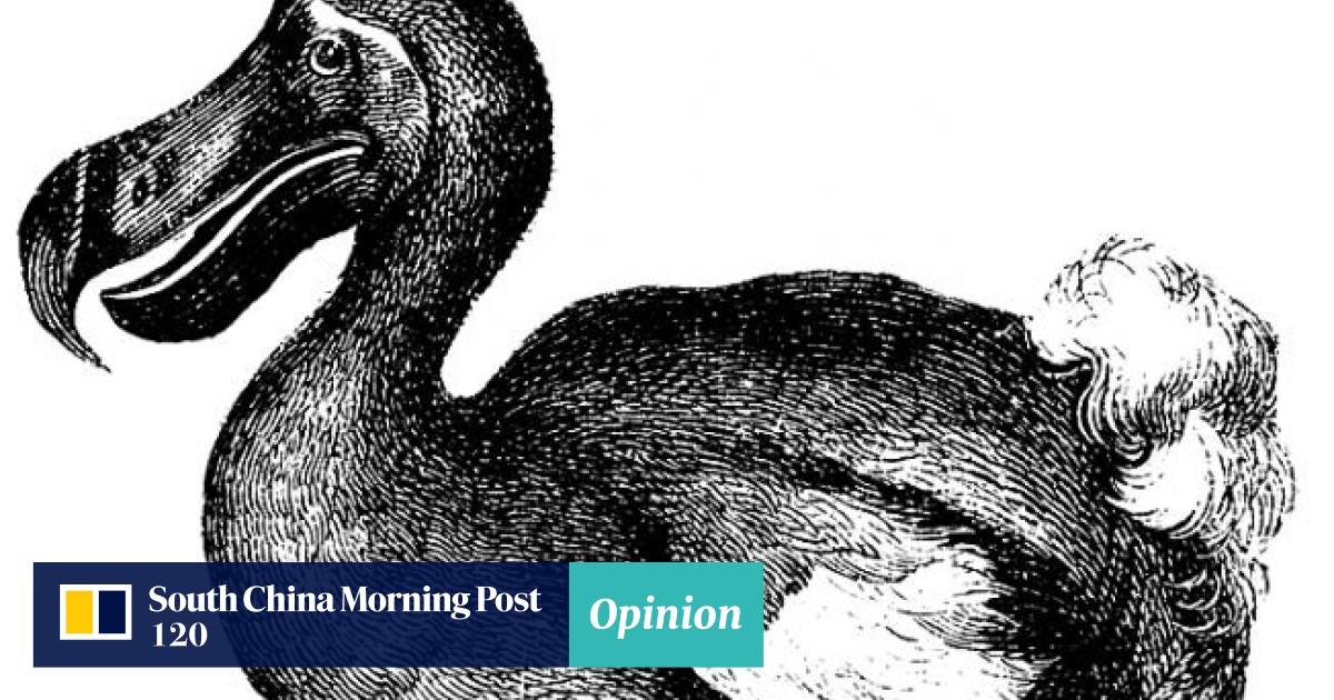 Opinion: Hello dodo: bringing species back from extinction | South ...