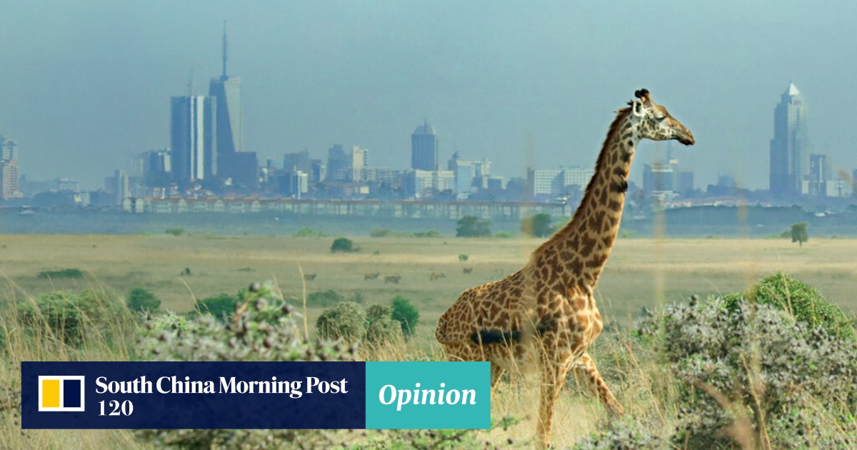 Opinion: The best Netflix documentaries to watch on climate change ...