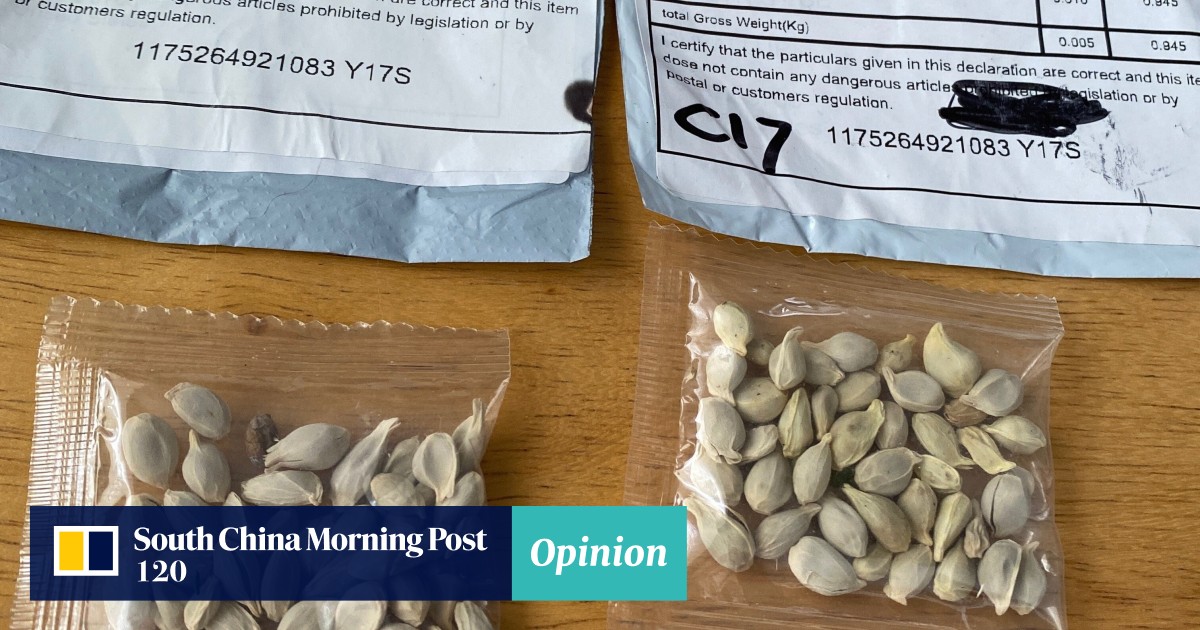 Opinion | China mystery seed scare a reminder of our long history with ...