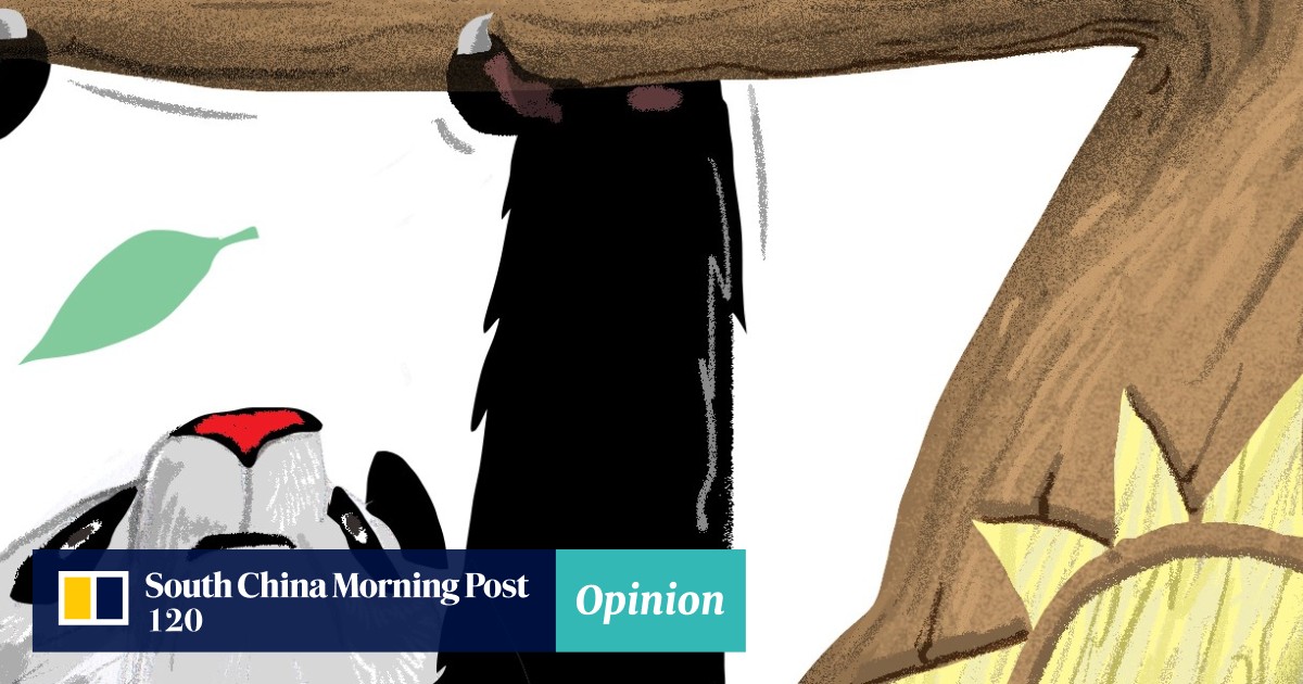 Opinion: For all its power, China can’t sever Taiwan’s links to the ...