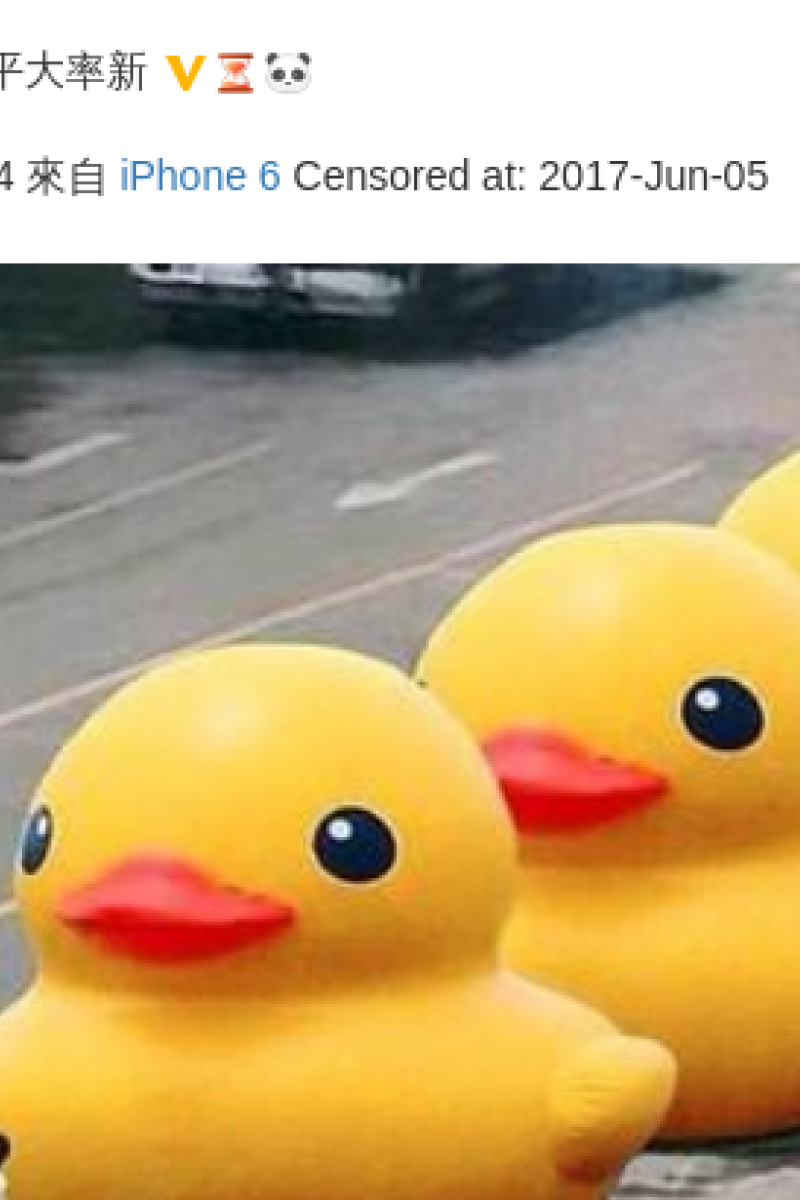 deflating duck scale