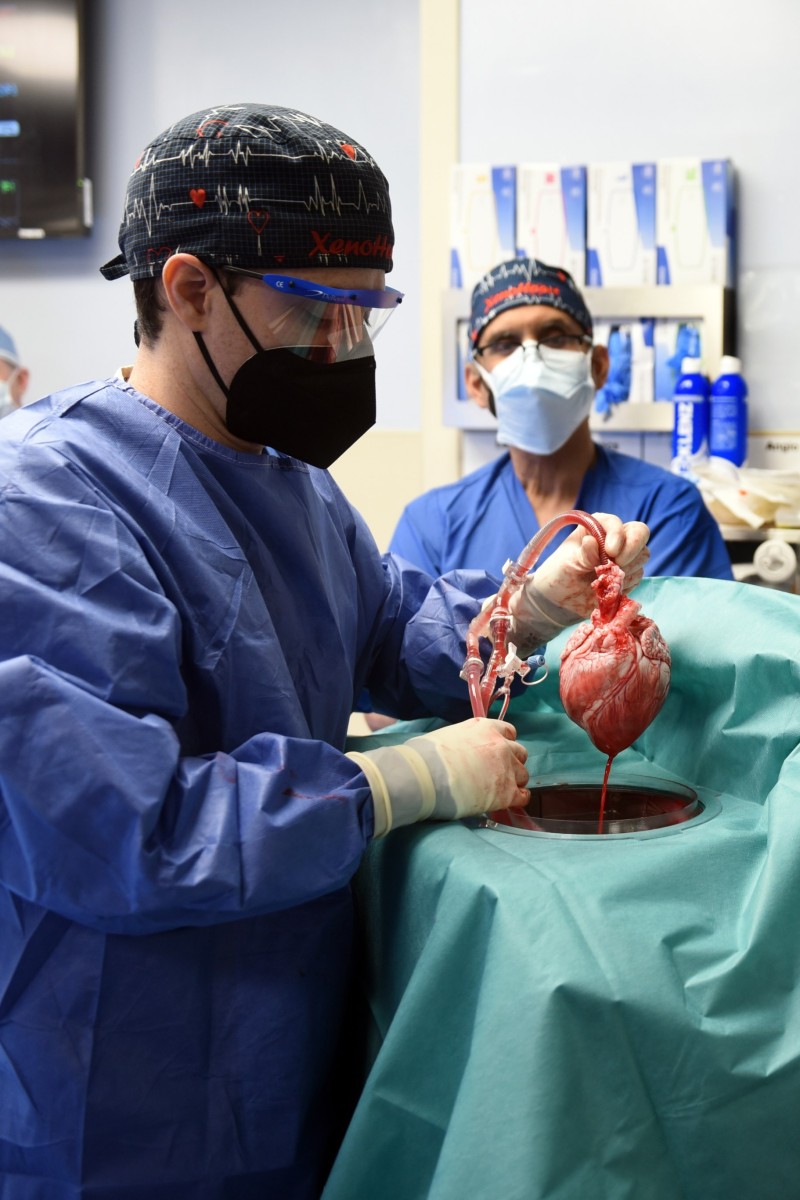 In a first, surgeons perform successful transplant of genetically ...