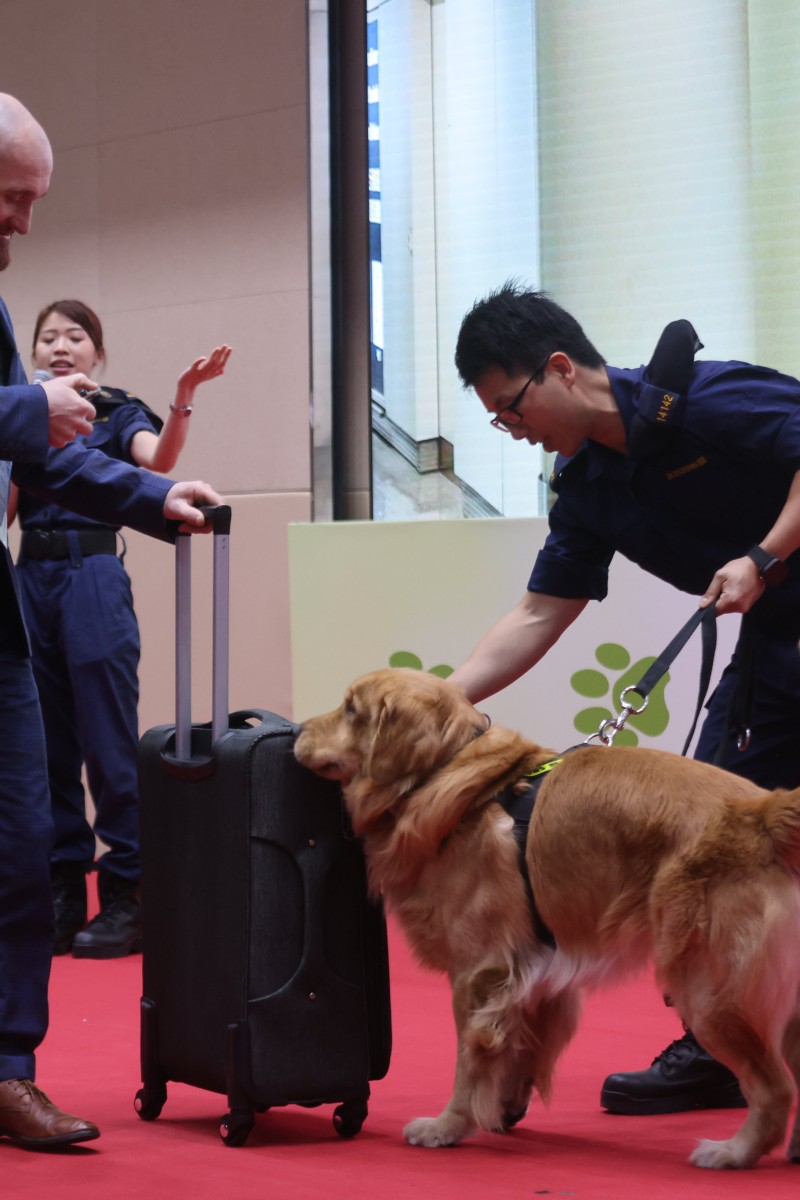 Hong Kong customs to provide sniffer dog coaching to canines from ...