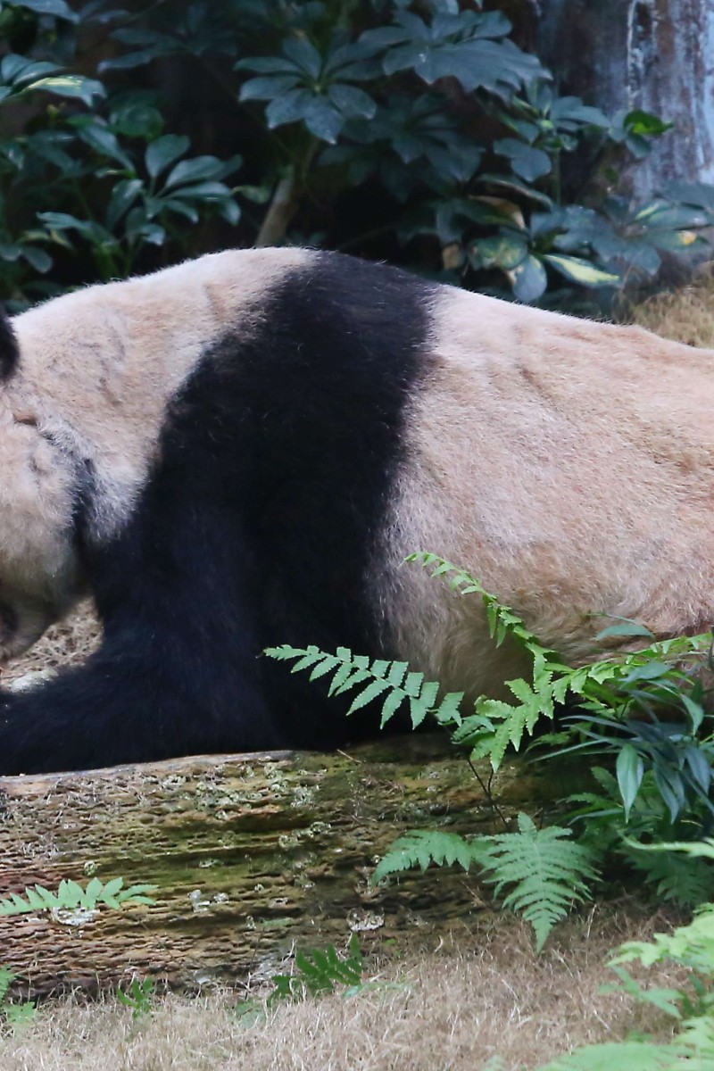 Euthanasia is immoral and against nature - Young Post | South China ...