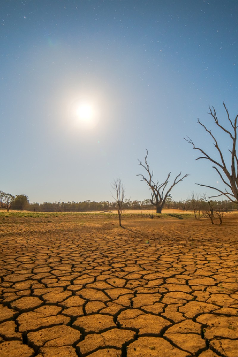 Imagine you live in a dystopia where all the crops die out, what would ...