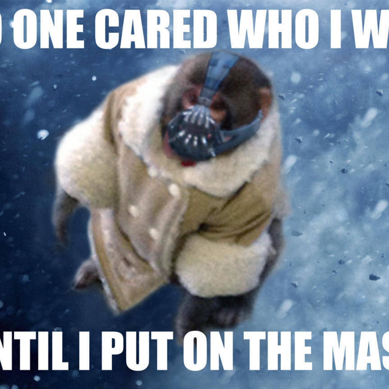 Ikea Monkey Meme Bane