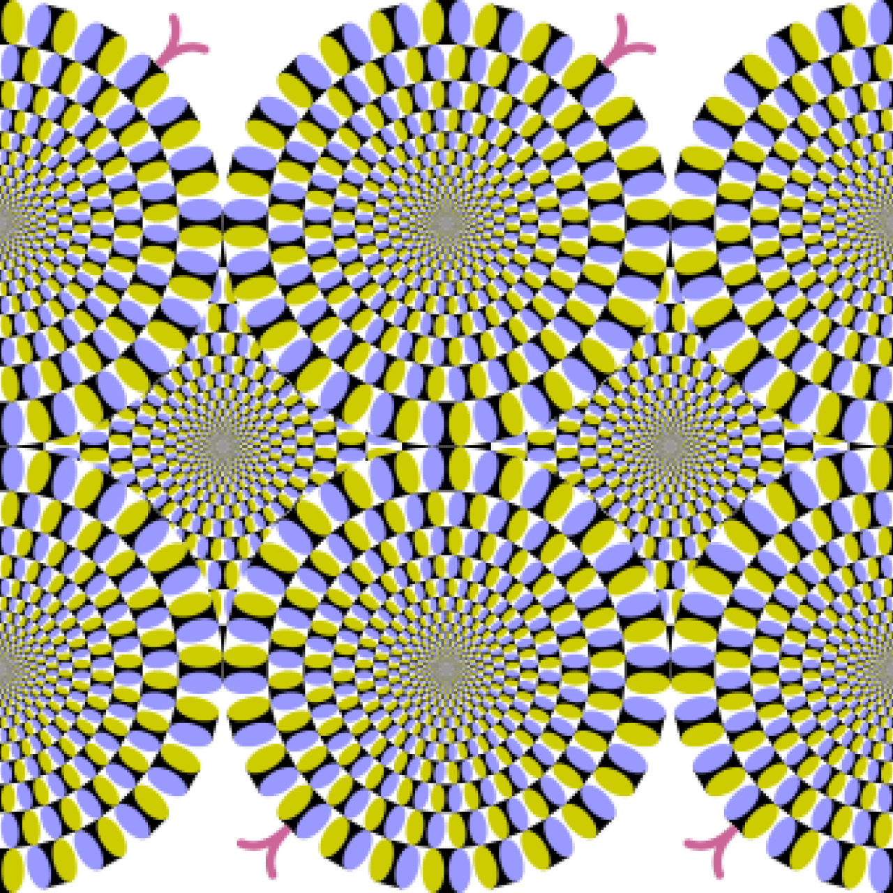 Moving Illusions For Kids