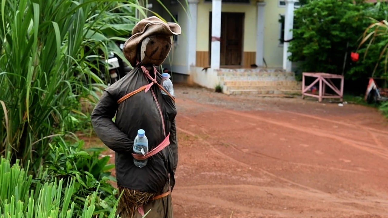 In Cambodia, coronavirus ‘scarecrows’ deployed by farmers to ward off ...