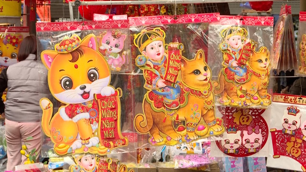 ‘It’s so beautiful’: Chinese woman dresses pet cat in elaborate ...