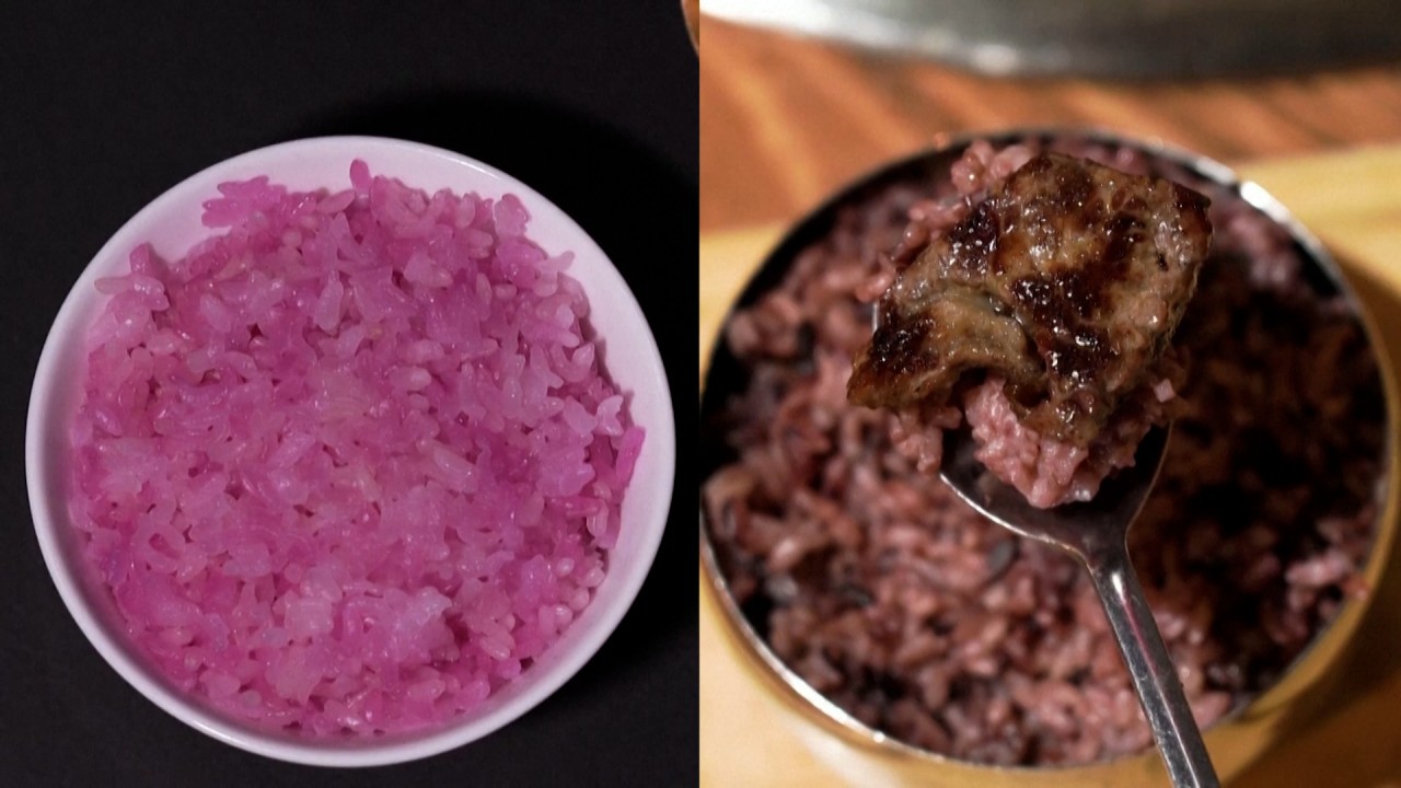 Lab-grown meat lands on Hong Kong plates as Australian start-up Vow ...