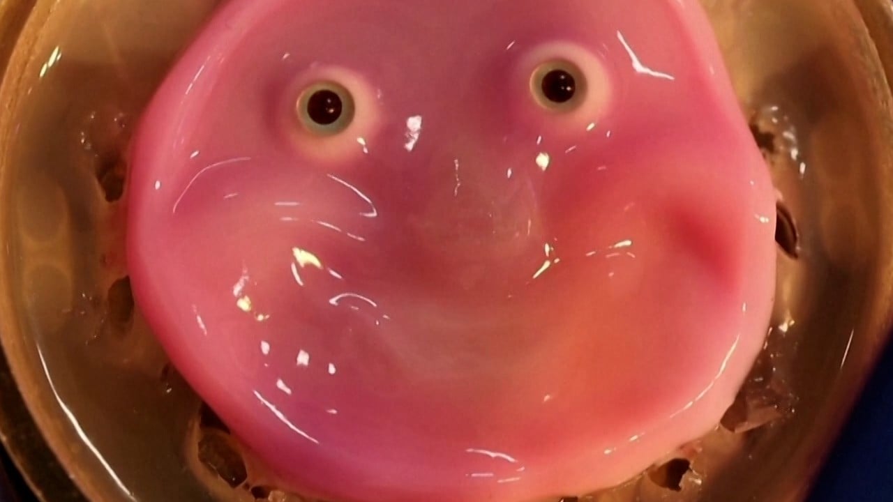 Japanese scientists graft living skin onto robot faces to make them ...