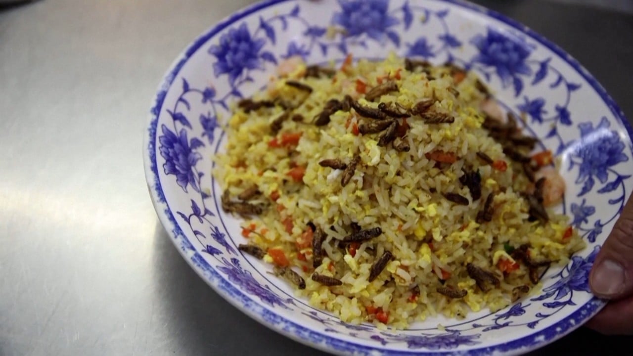 Singapore approved insects as food, but can consumers stomach it ...