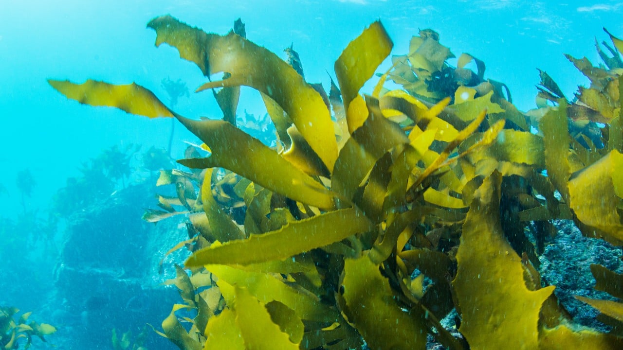 In world first, Chinese scientists find rare earth minerals from a ...