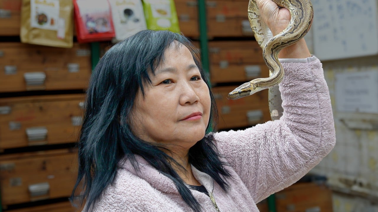 Mouthing Off | Is snake soup as good for you as many Chinese believe ...