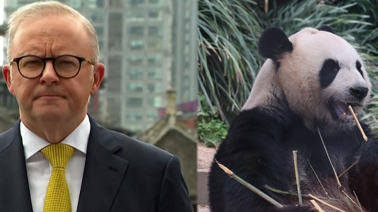 Not ‘Trump-compatible’? China expert Rudd exits Australia’s US ...